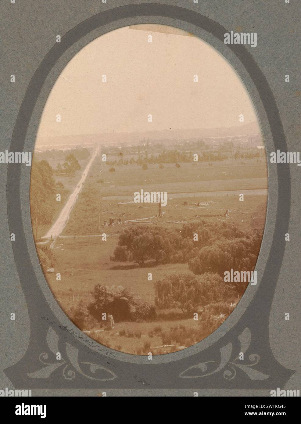 Queen Street, Levin. Looking west from the foot-hill, sea in background ...