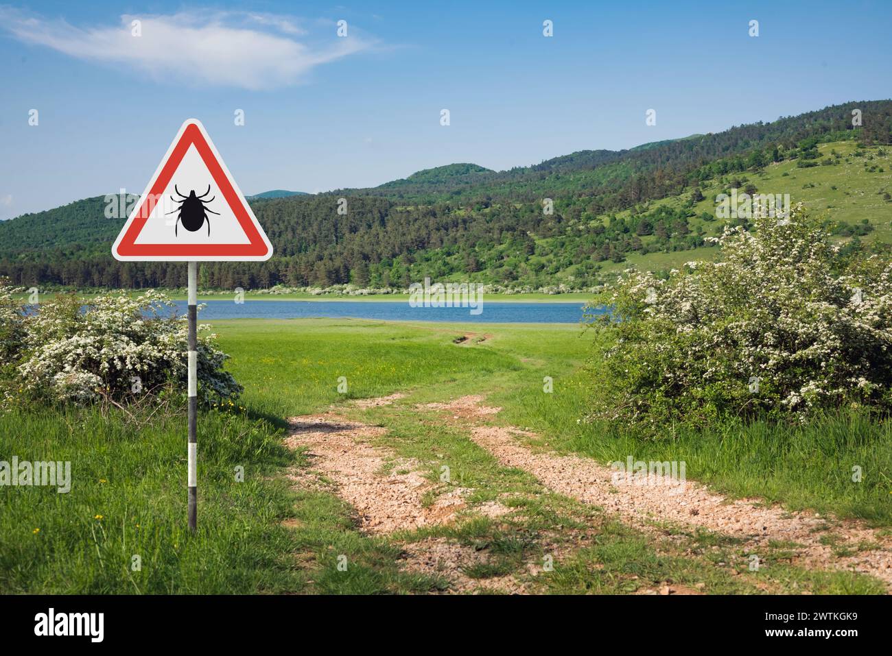 Tick Infected area with danger sign. Risk of tick-borne and lyme ...