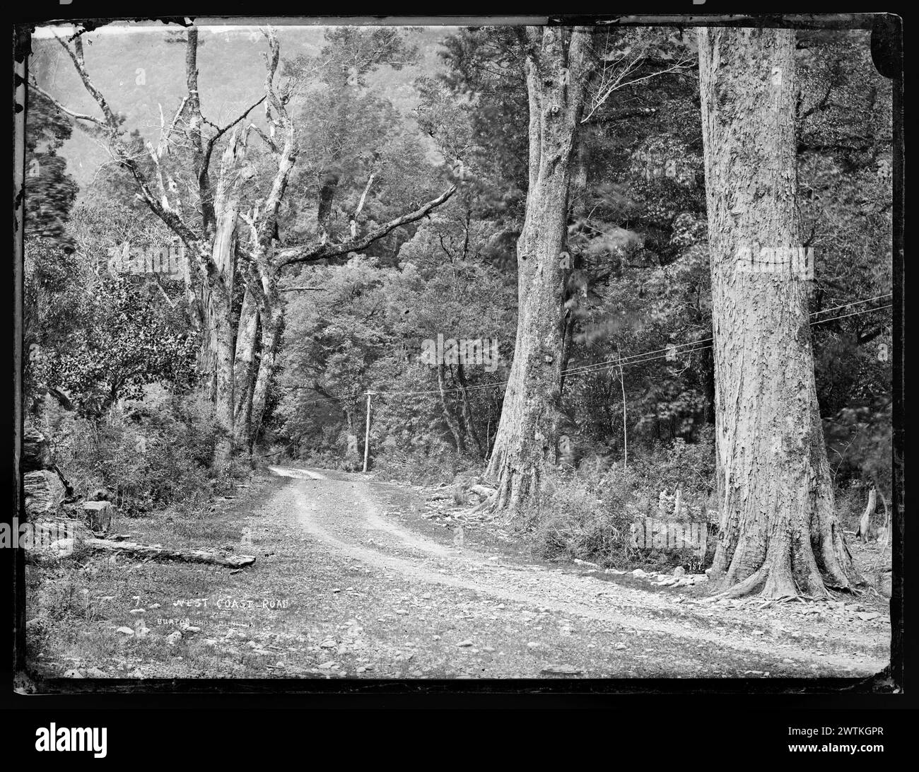 West Coast Road wet collodion negatives, black-and-white negatives ...