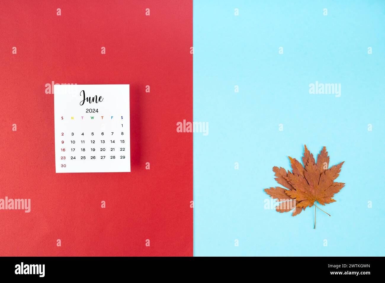 Top view of a June 2024 calendar and autumn foliage on a red and blue ...