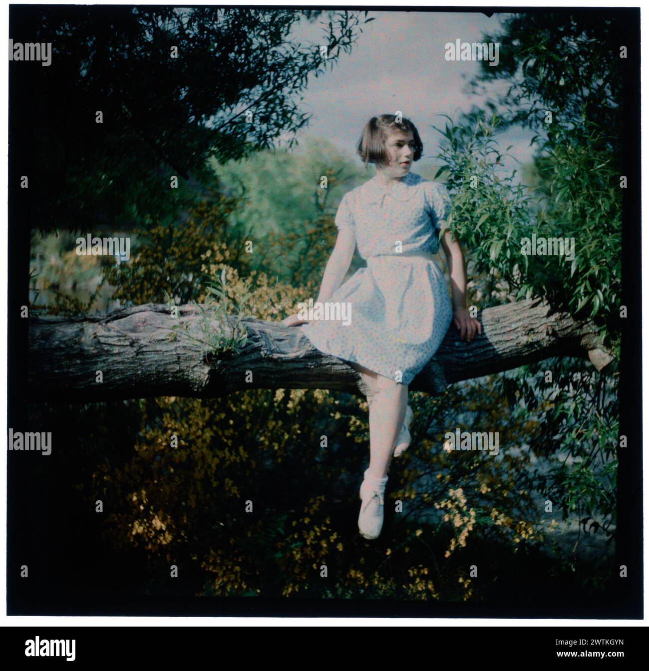 Children in the countryside colour photographs, colour transparencies ...