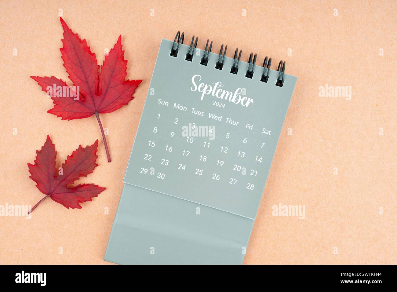 September 2024 monthly calendar and fall leaves on brown background ...