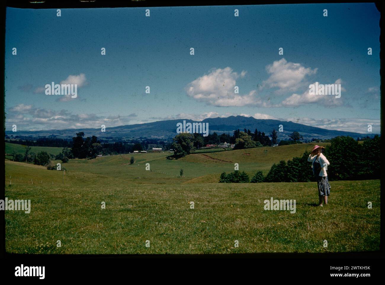 Mt Pirongia - large dissected volcanic mountain from Frontier Road, c ...