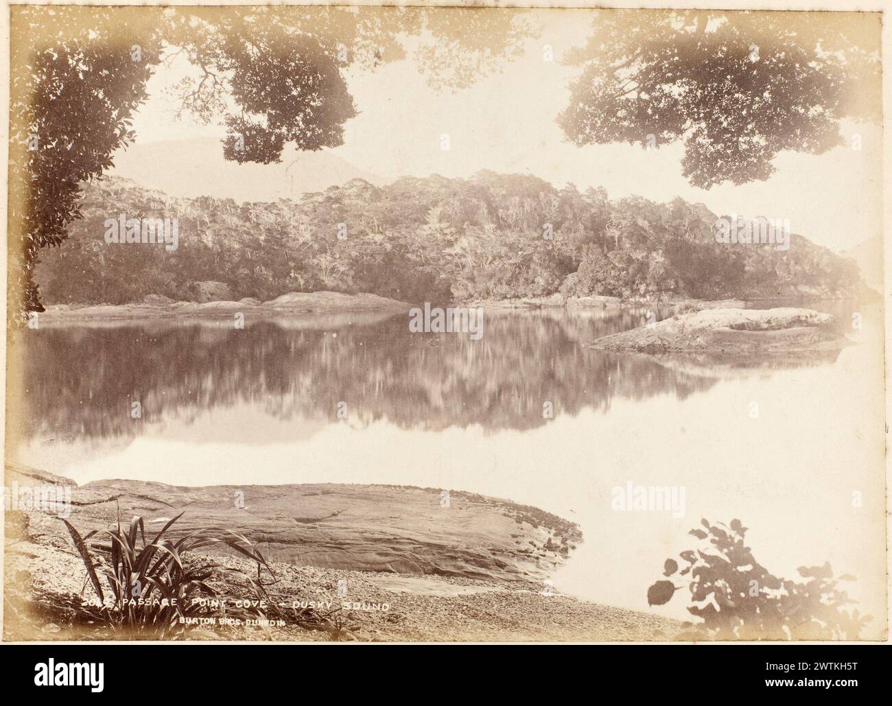 Passage Point Cove, Dusky Sound. From the album: New Zealand Scenery ...
