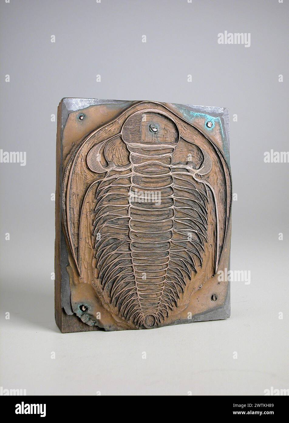 Printing block - Fossil John Henry Walker (1831-1899 Stock Photo - Alamy