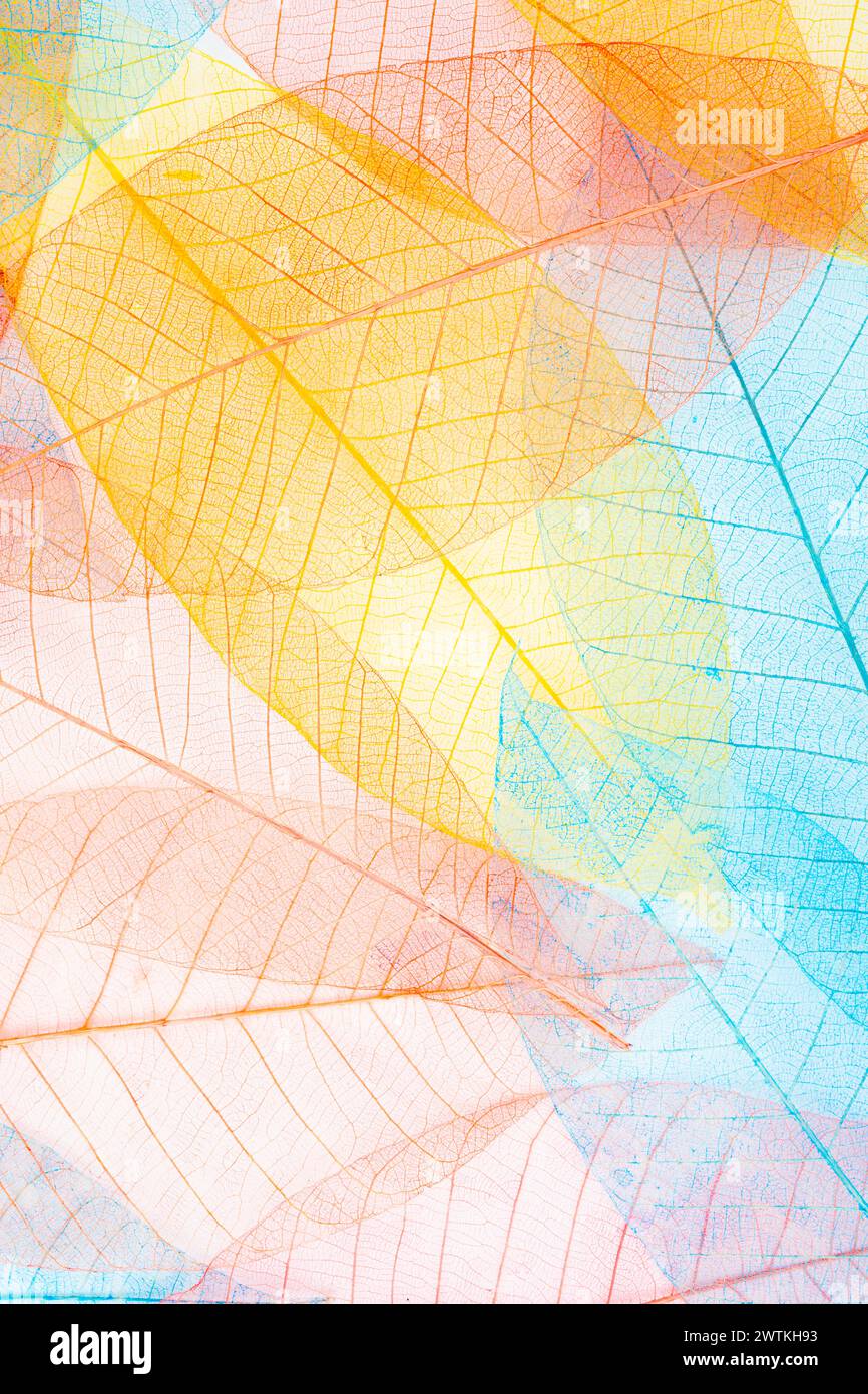 Colorful leaf texture hi-res stock photography and images - Alamy