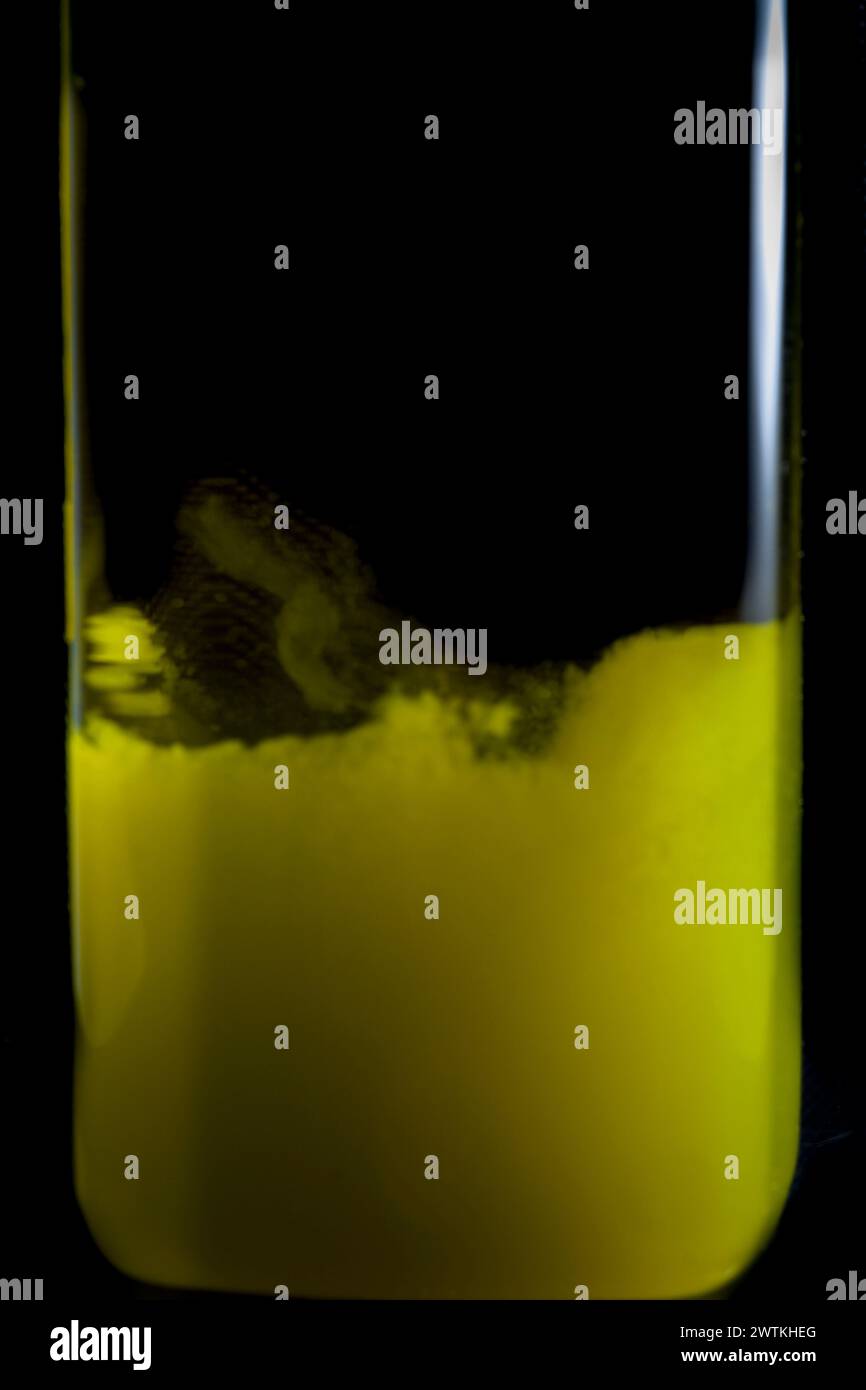 Olive oil bottle with natural sediment grounds in the bottom with black ...