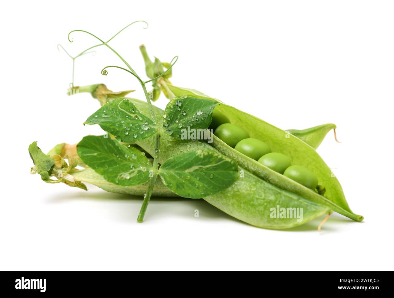 Ripe pea vegetable. Isolated on white background Stock Photo - Alamy
