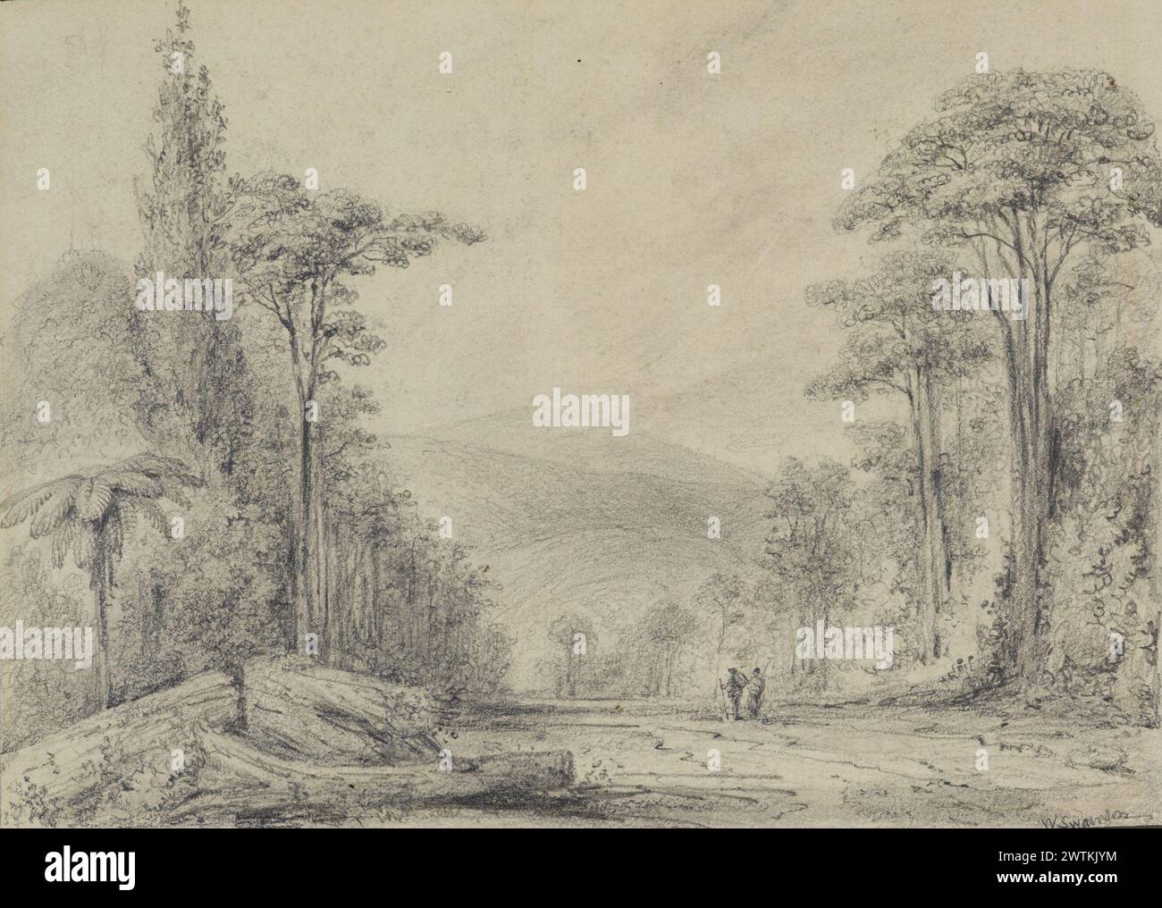 First view of the Rimutaka Range drawings, works on paper Stock Photo ...