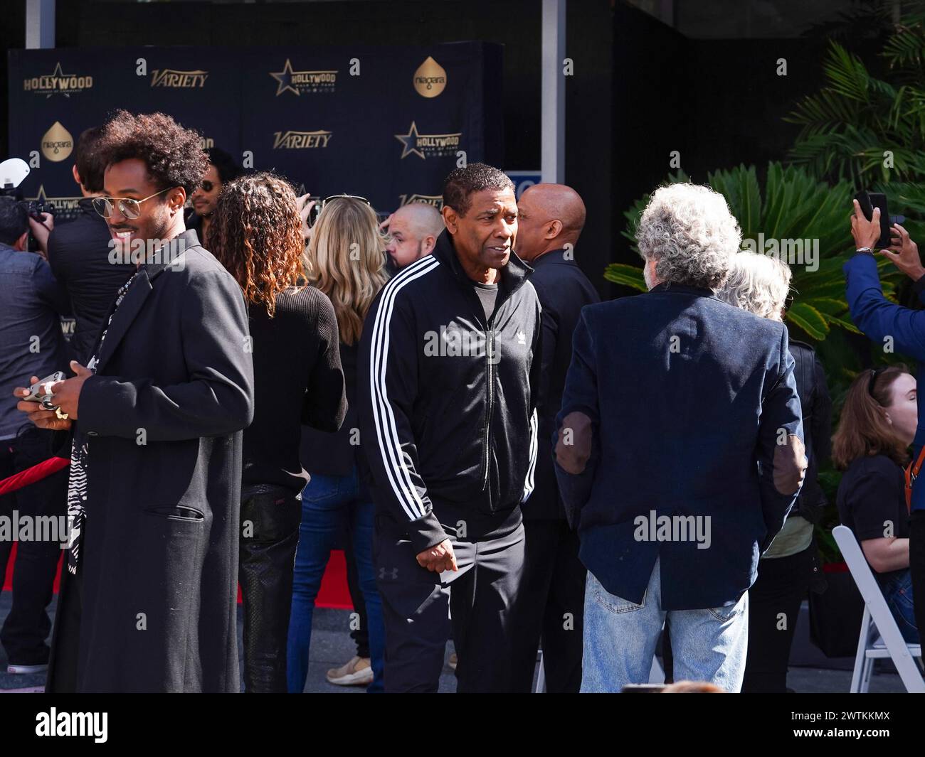 Celebrities attend Lenny Kravitz Hollywood Walk of Fame Star Ceremony ...
