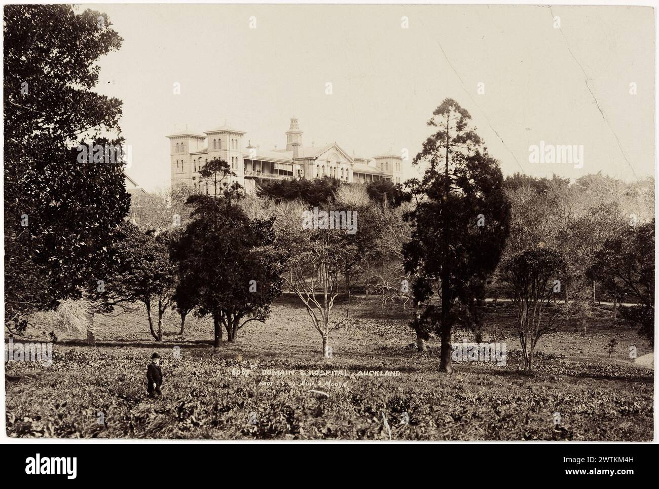 Auckland domain and hospital hi-res stock photography and images - Alamy