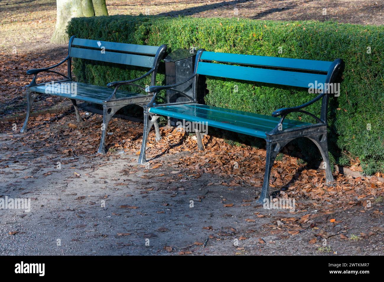 Two green park benches standing near hedge Stock Photo - Alamy