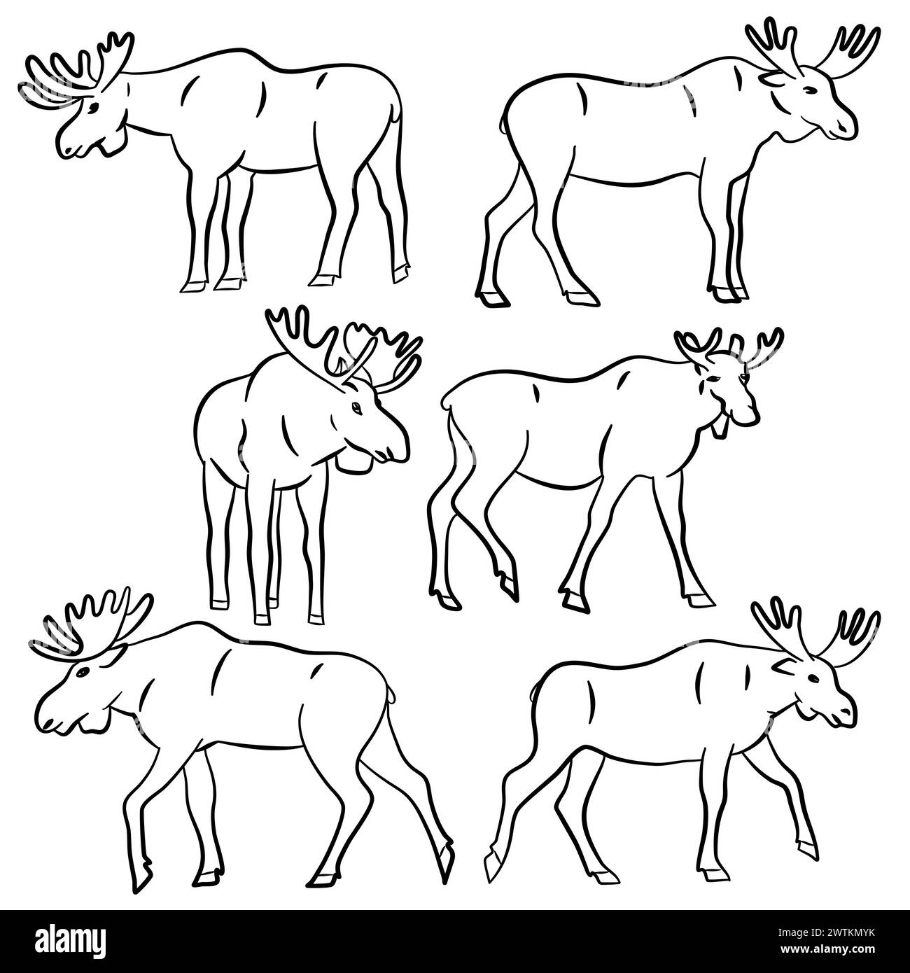 Moose Action Set Vector Illustration Collection Stock Vector Image