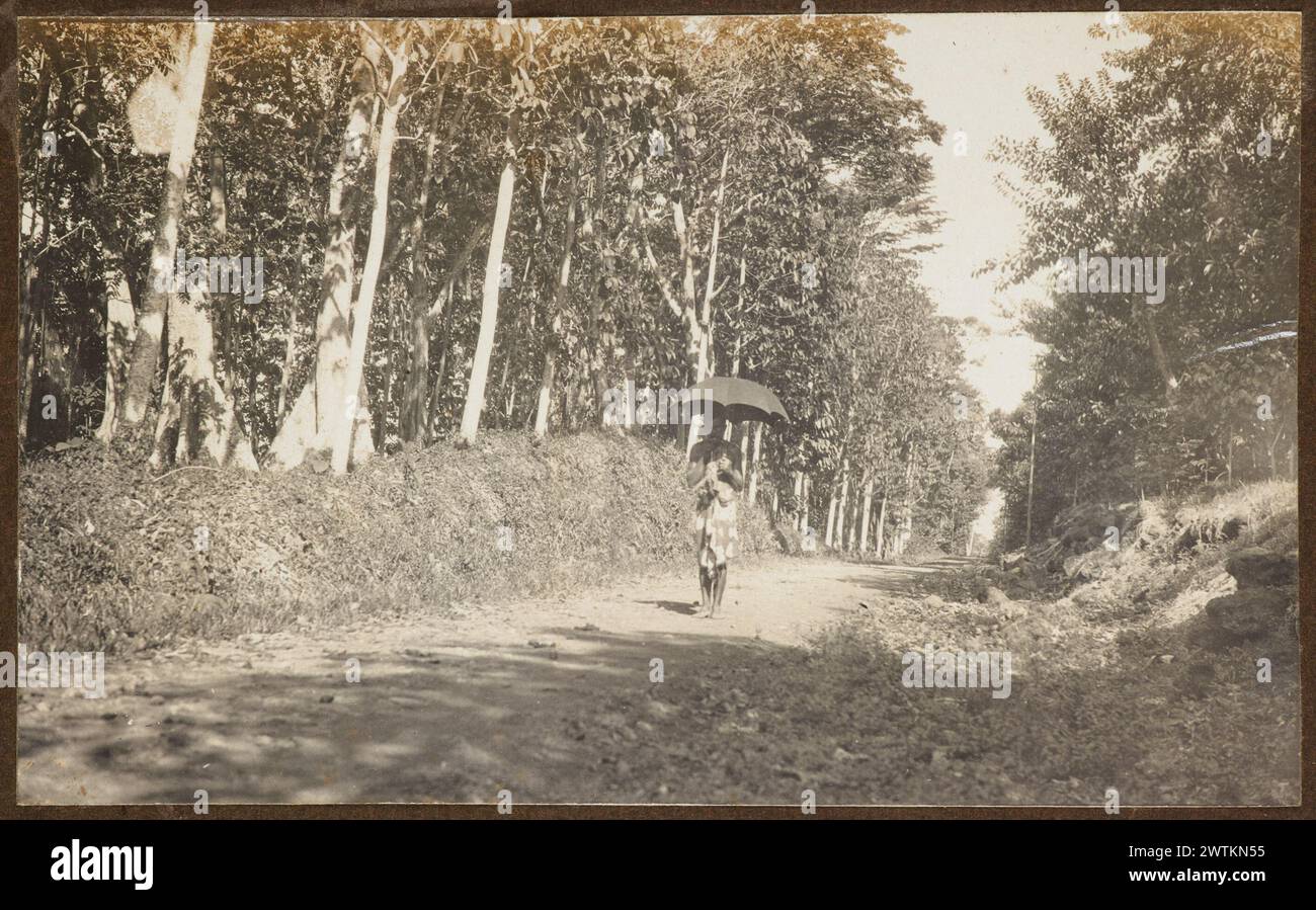 Samoan man with parasol. From the album: Samoa gelatin silver prints ...
