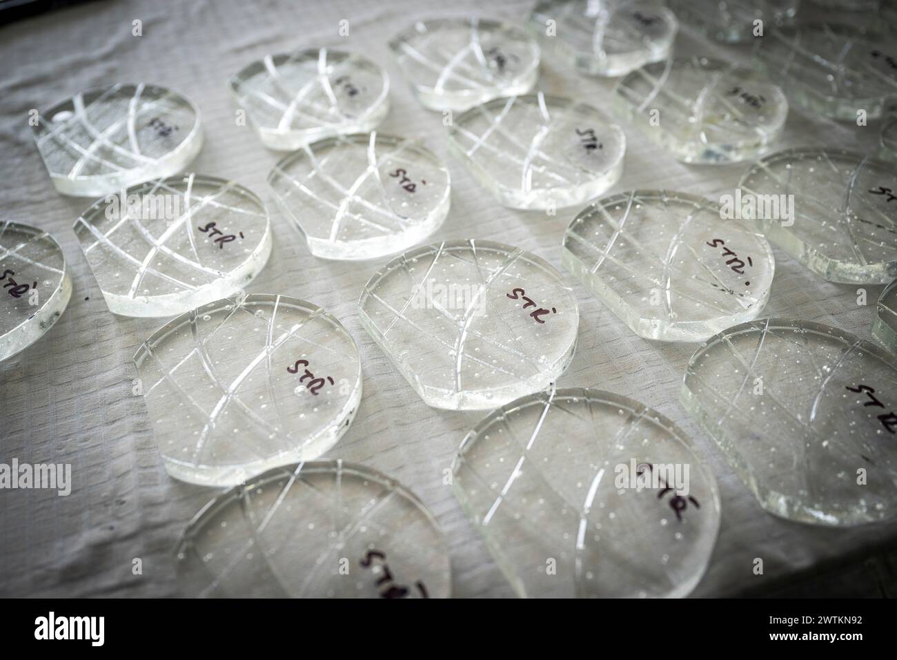 Novy Bor, Czech Republic. 18th Mar, 2024. Glassmakers from Kolektiv ...