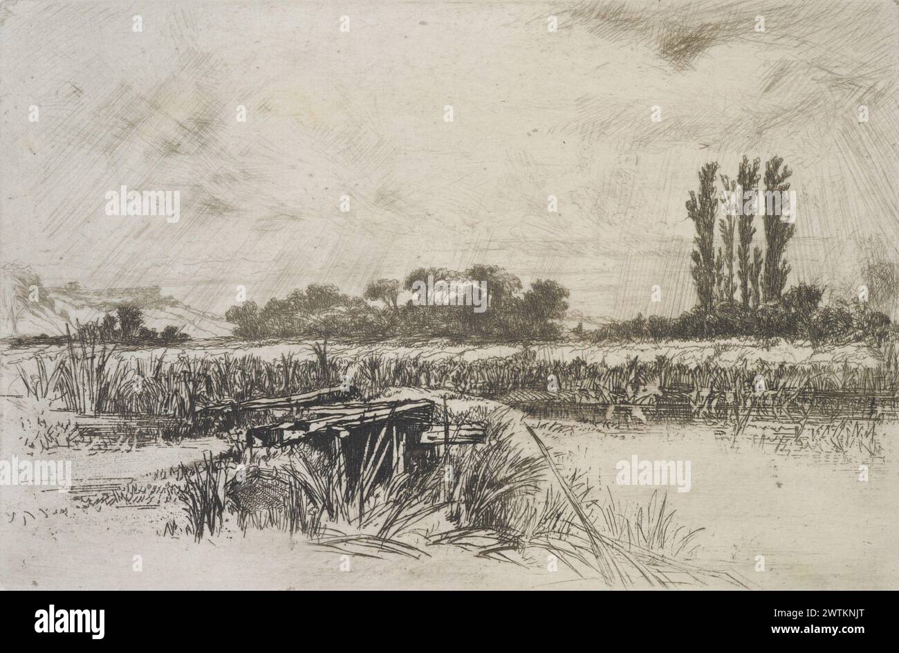 Etchings etching on paper image hi-res stock photography and images - Alamy
