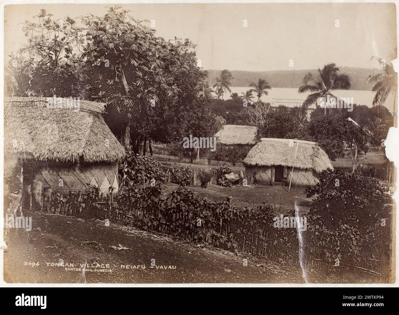 Vavau tongan village hi-res stock photography and images - Alamy
