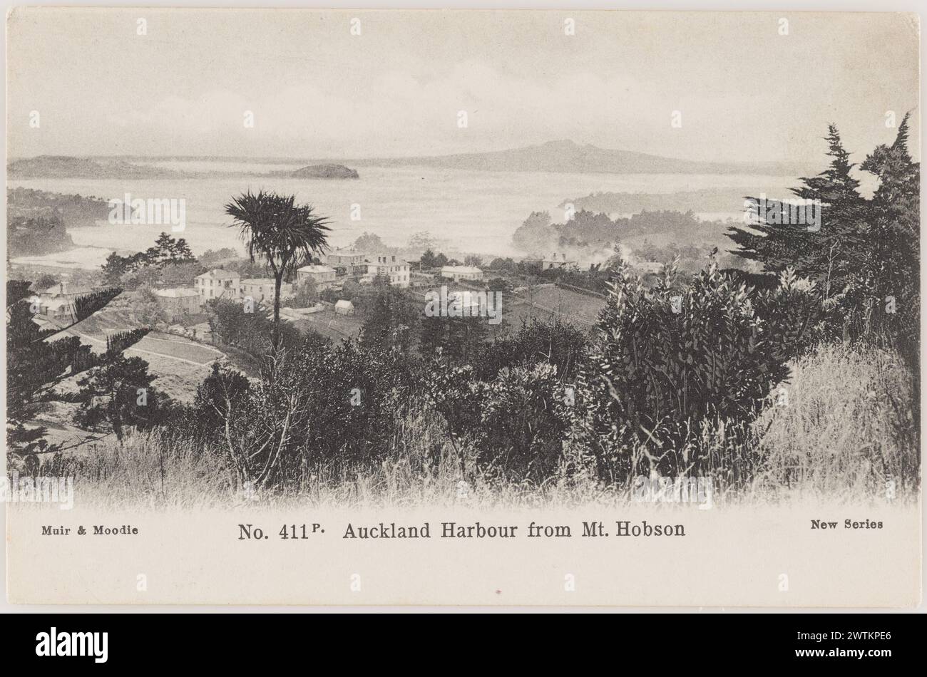 Auckland Harbour from Mount Hobson photographic postcards Stock Photo ...