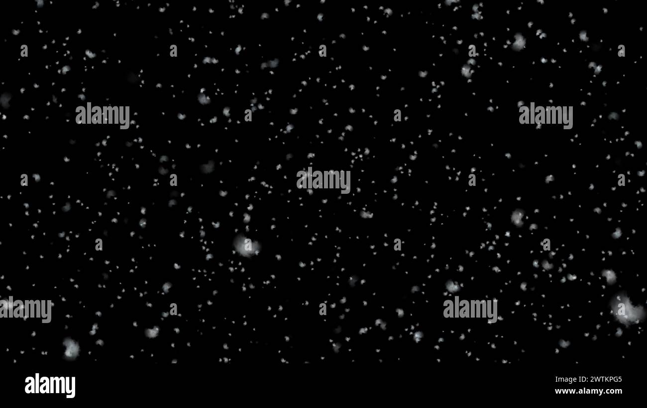 Realistic snowfall overlay, black background - winter, slowly falling ...