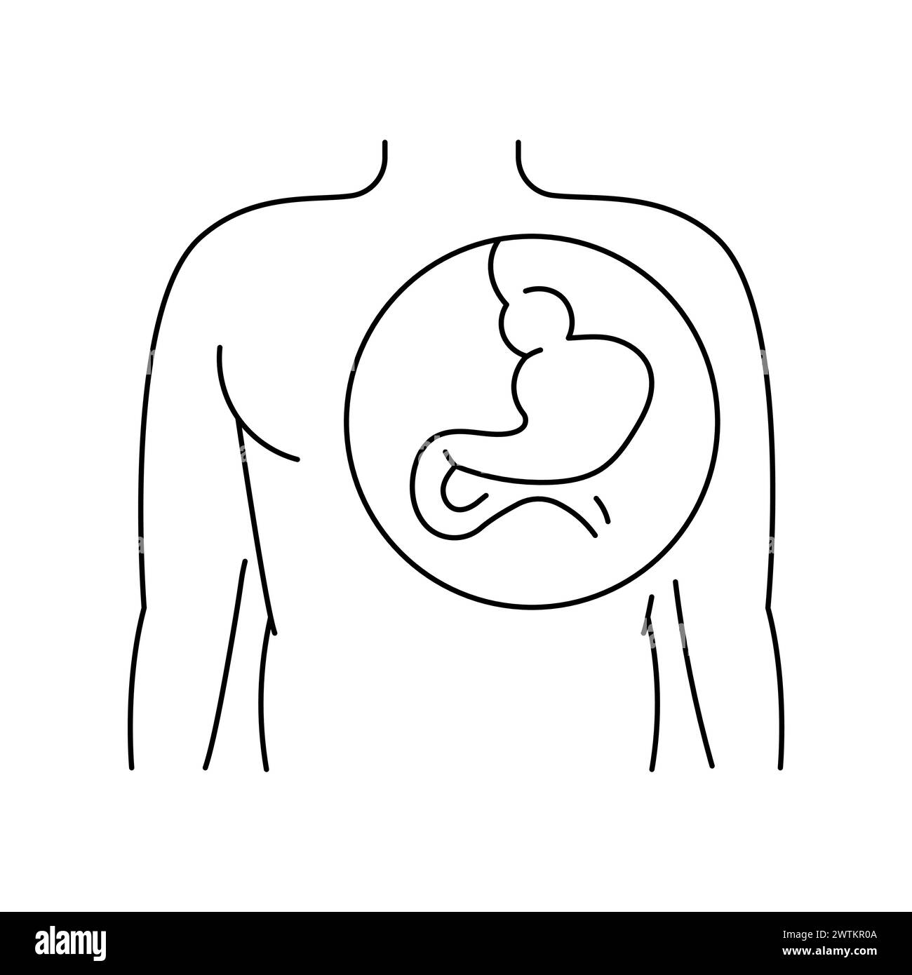 Hiatal Hernia Line Icon Vector Isolated Element Editable Stroke Stock Vector Image And Art Alamy