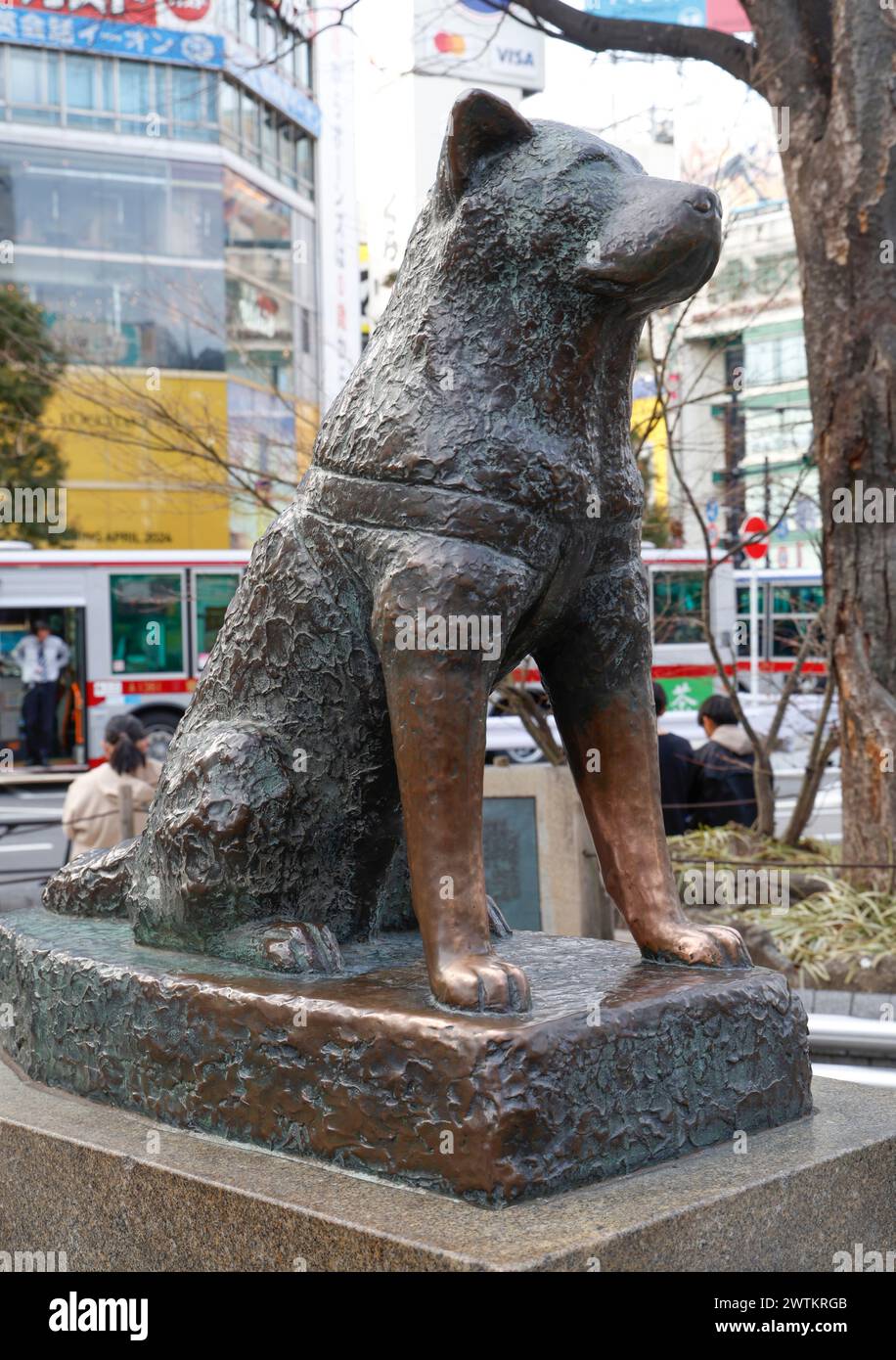 HACHIKO THE FAITHFUL DOG IN TOKYO Stock Photo - Alamy