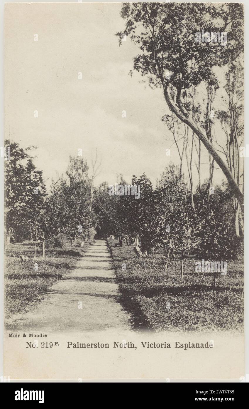 Palmerston north victoria esplanade hi-res stock photography and images ...