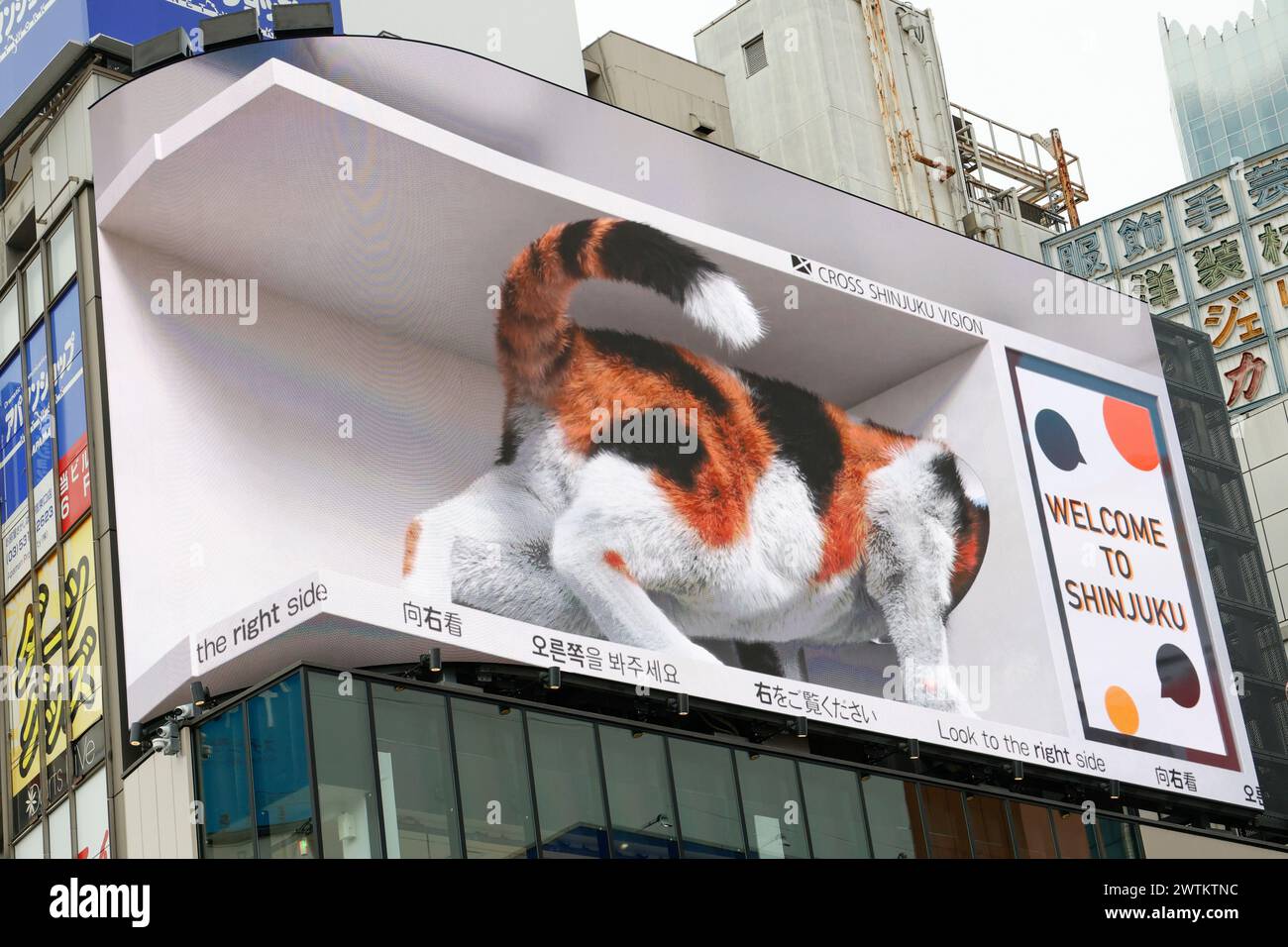 DIGITAL BILLBOARD OF REALISTIC GIANT 3D CAT AMAZES ONLOOKERS IN TOKYO ...