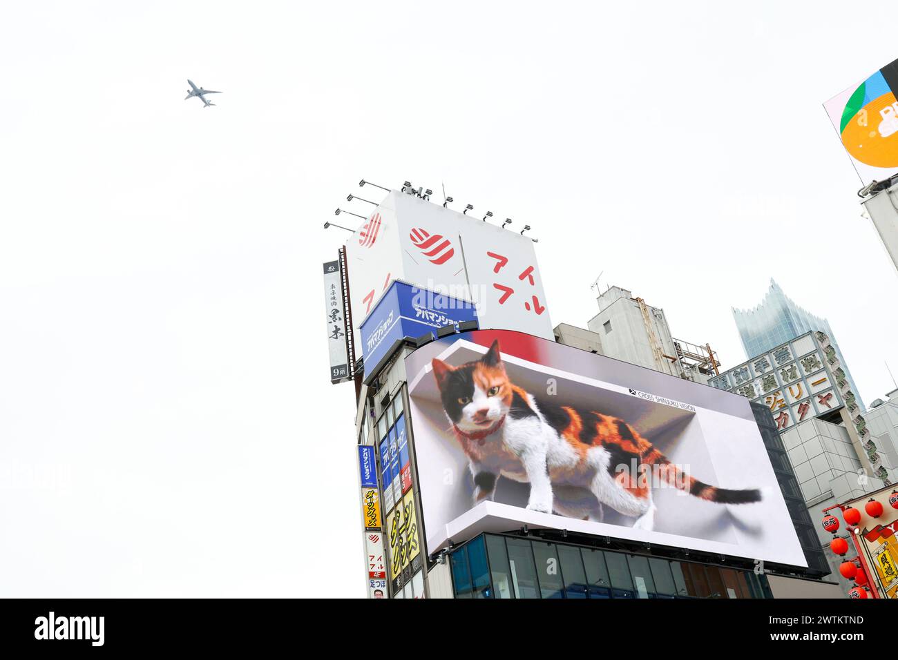 DIGITAL BILLBOARD OF REALISTIC GIANT 3D CAT AMAZES ONLOOKERS IN TOKYO ...
