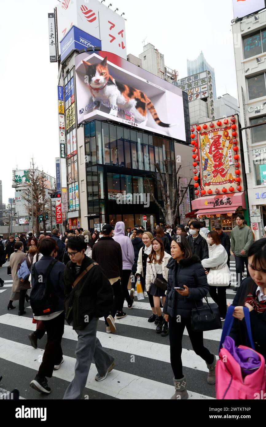 DIGITAL BILLBOARD OF REALISTIC GIANT 3D CAT AMAZES ONLOOKERS IN TOKYO ...