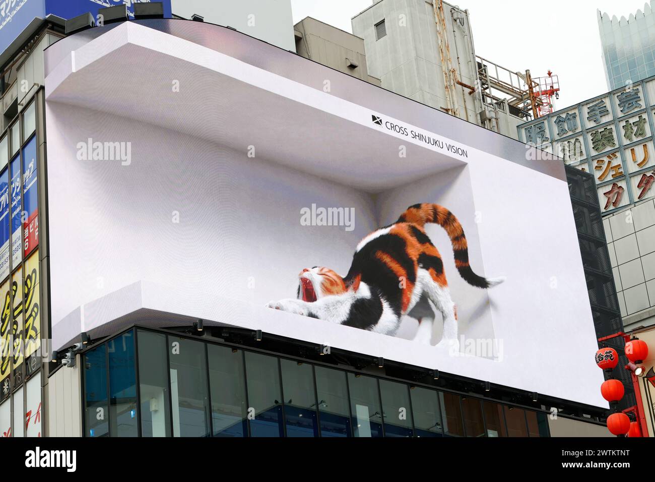 DIGITAL BILLBOARD OF REALISTIC GIANT 3D CAT AMAZES ONLOOKERS IN TOKYO ...