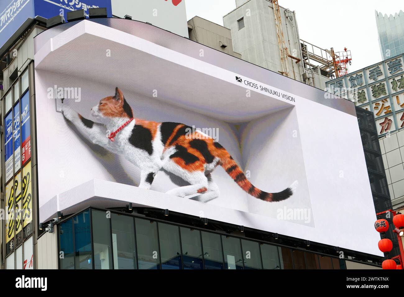 DIGITAL BILLBOARD OF REALISTIC GIANT 3D CAT AMAZES ONLOOKERS IN TOKYO ...