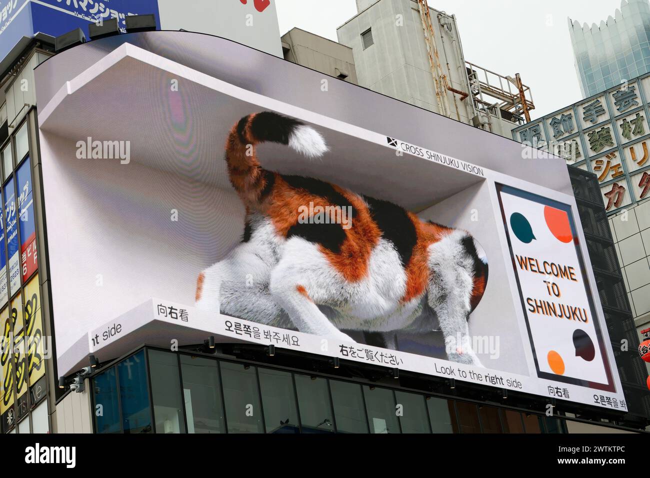 DIGITAL BILLBOARD OF REALISTIC GIANT 3D CAT AMAZES ONLOOKERS IN TOKYO ...