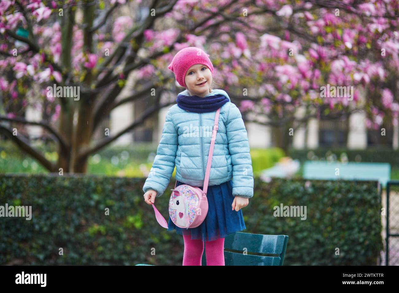 Adorable preschooler girl enjoying pink magnolias in full bloom on a ...