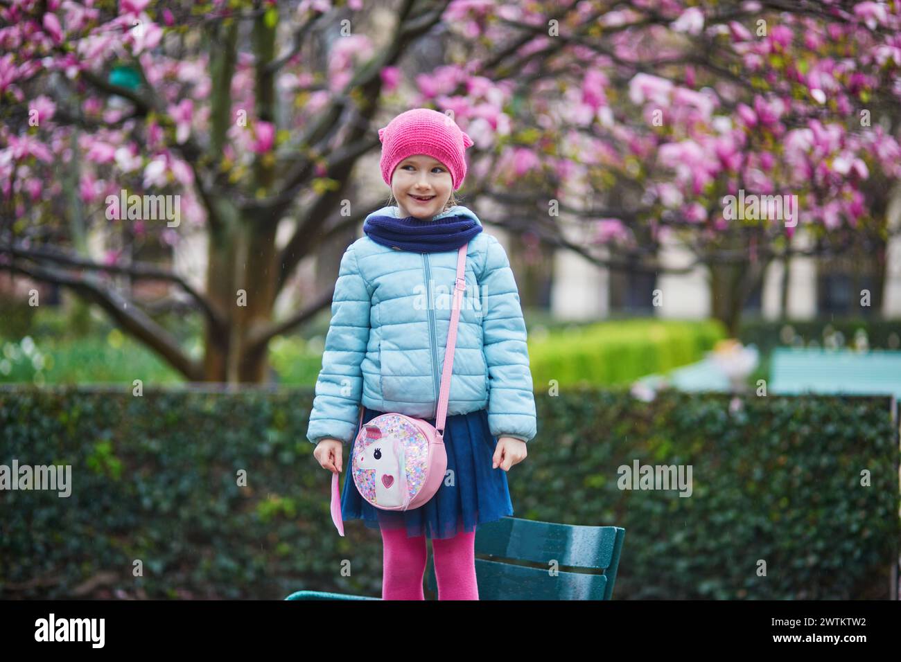 Adorable preschooler girl enjoying pink magnolias in full bloom on a ...