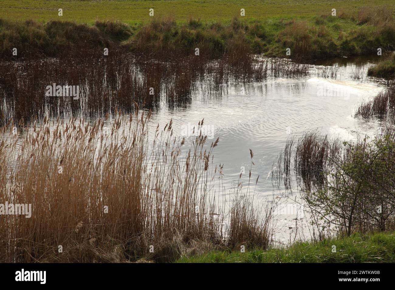Great Wakering, Essex, England, UK, March 2024 Stock Photo - Alamy