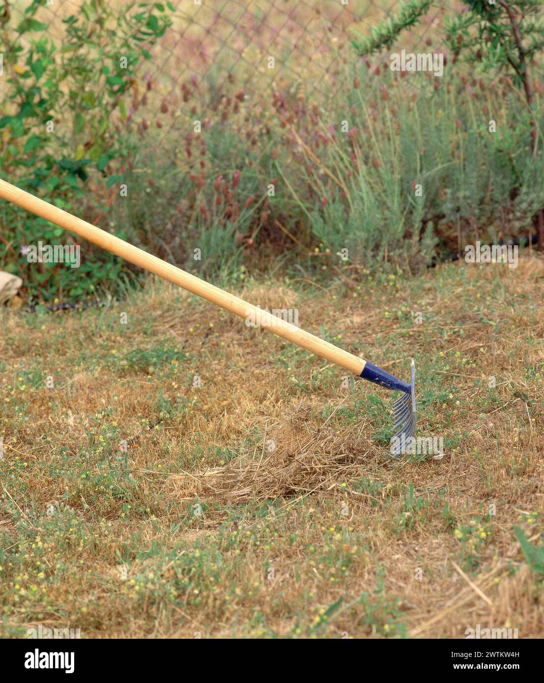 RASTRILLO - FOTO AÑOS 90 Stock Photo - Alamy