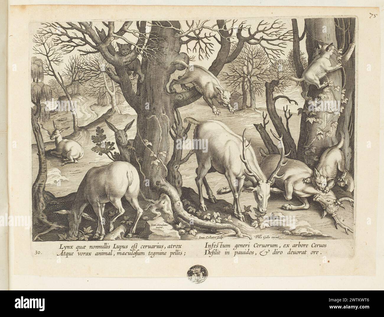 Venationes ferarum, avium, piscium (Hunts of wild animals, birds and ...