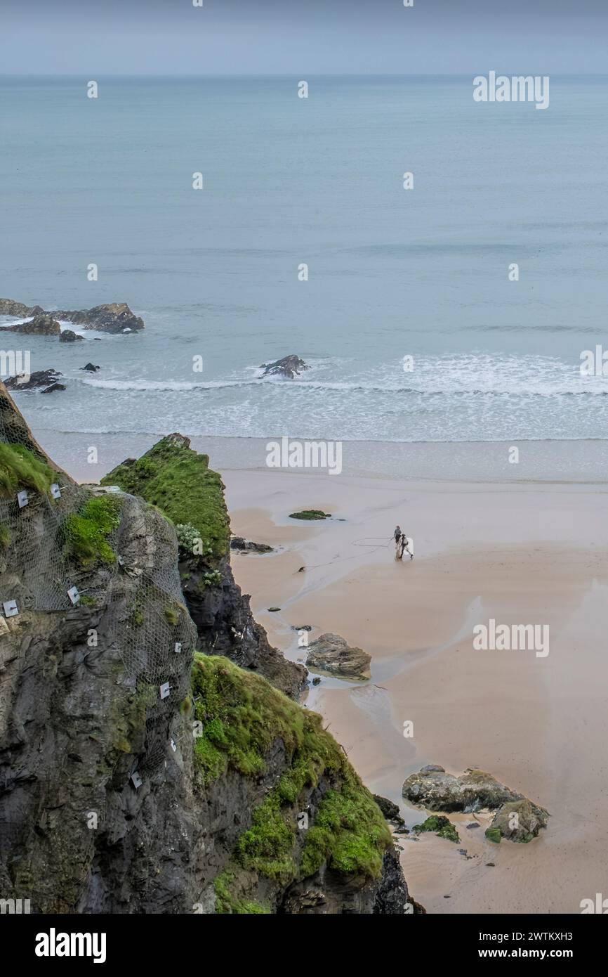 An aerial view of doq walkers on Gt Western Beach on a cold misty day ...