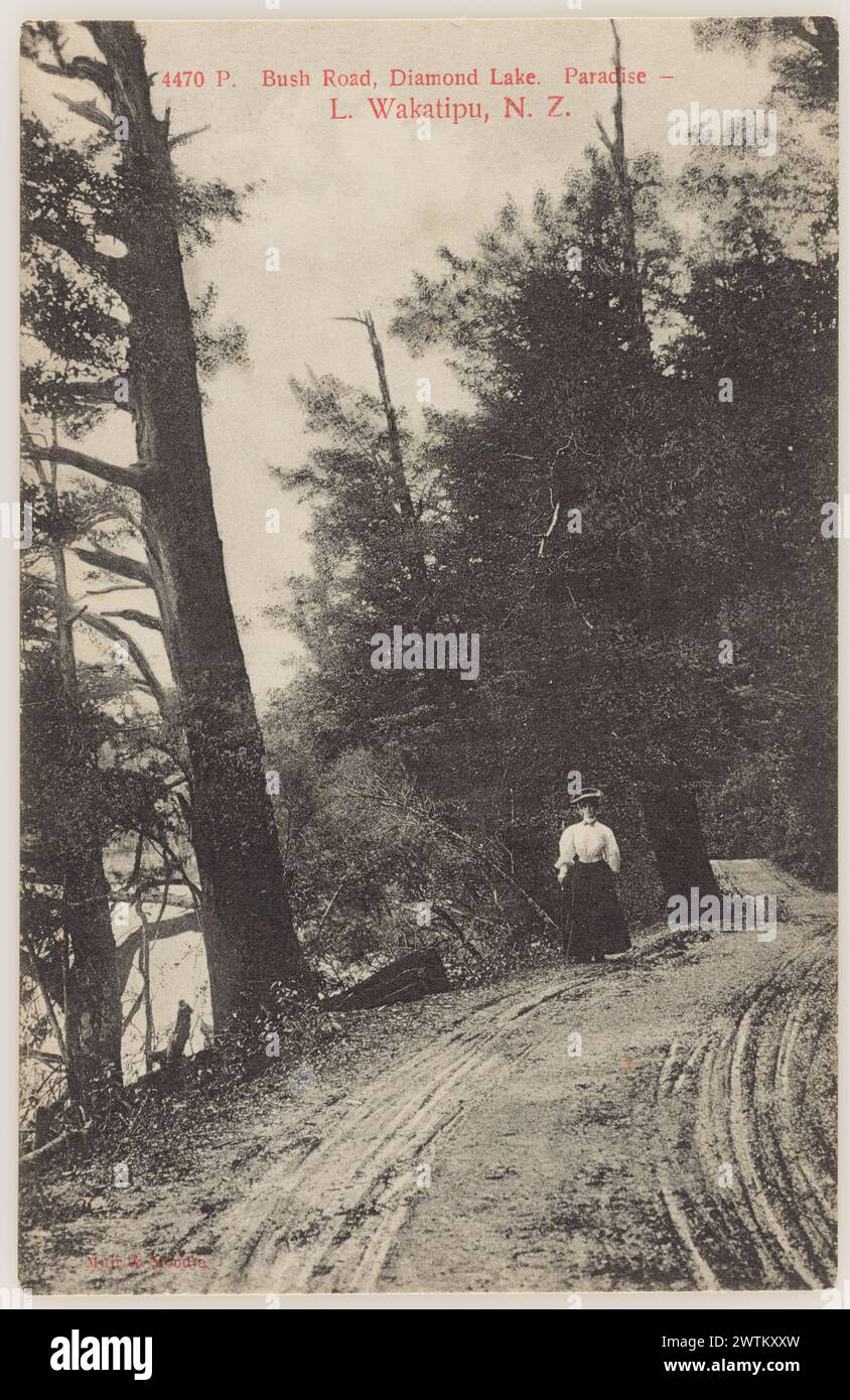 Bush Road, Diamond Lake, Paradise, Lake Wakatipu, New Zealand ...