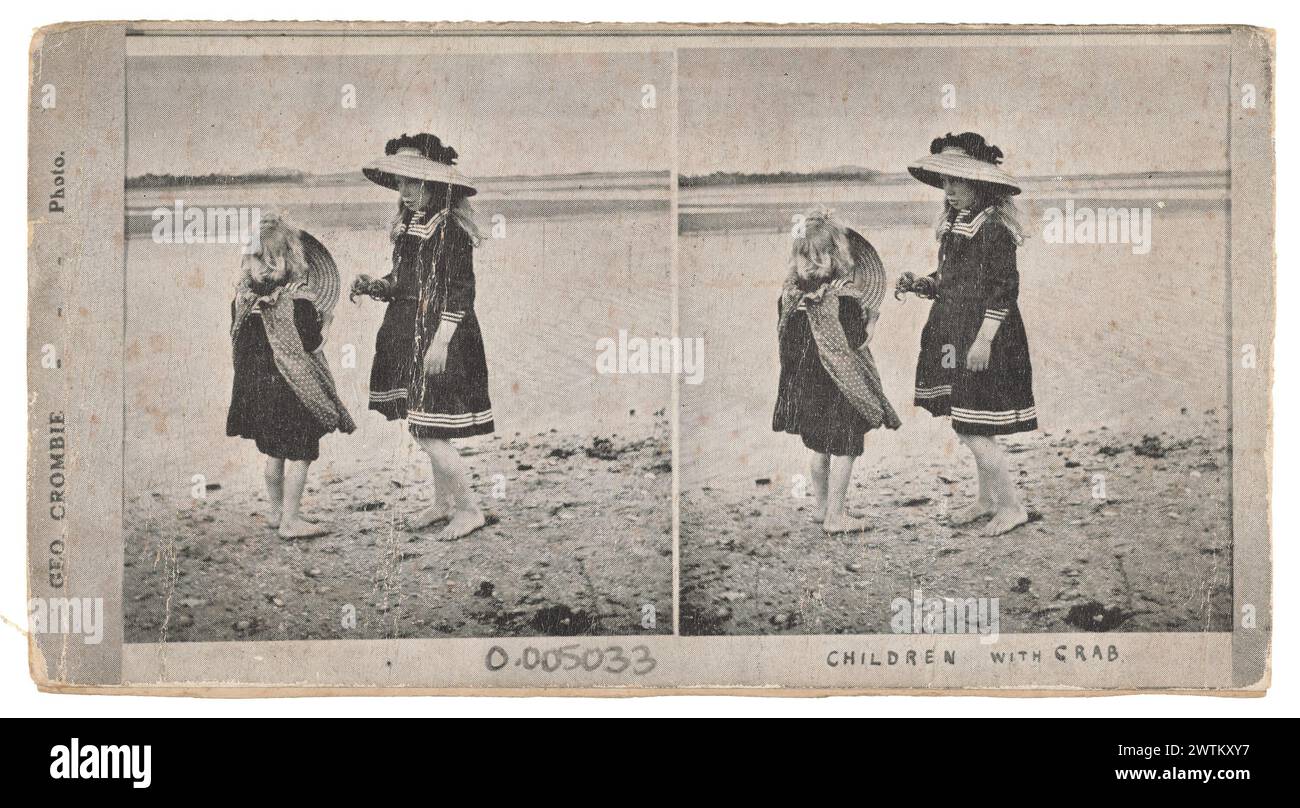Children with Crab stereoscopic photographs, albumen prints, black-and ...