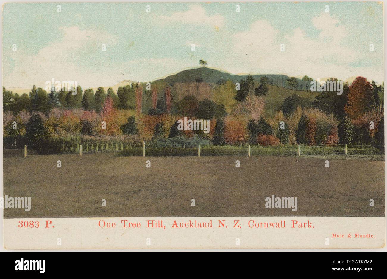 Cornwall park and one tree hill hi-res stock photography and images - Alamy