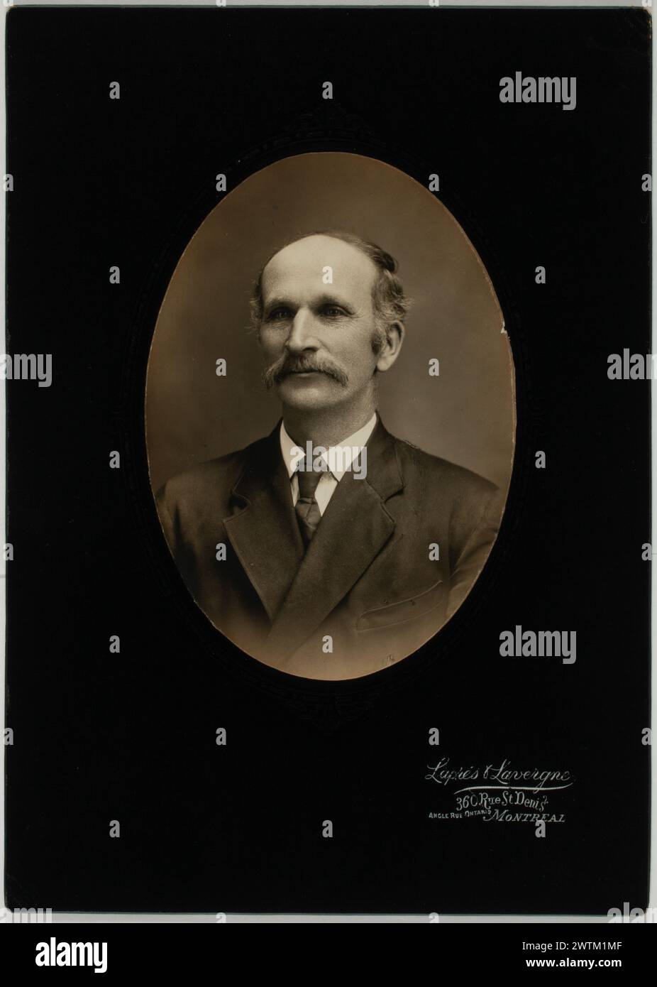 Boivert hi-res stock photography and images - Alamy