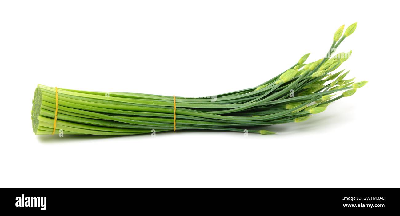 a bunch of flowering chinese garlic chives on the white background ...