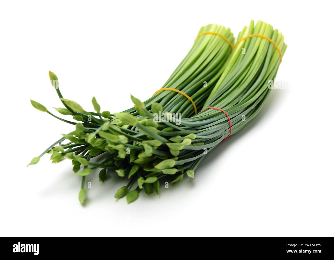 a bunch of flowering chinese garlic chives on the white background ...