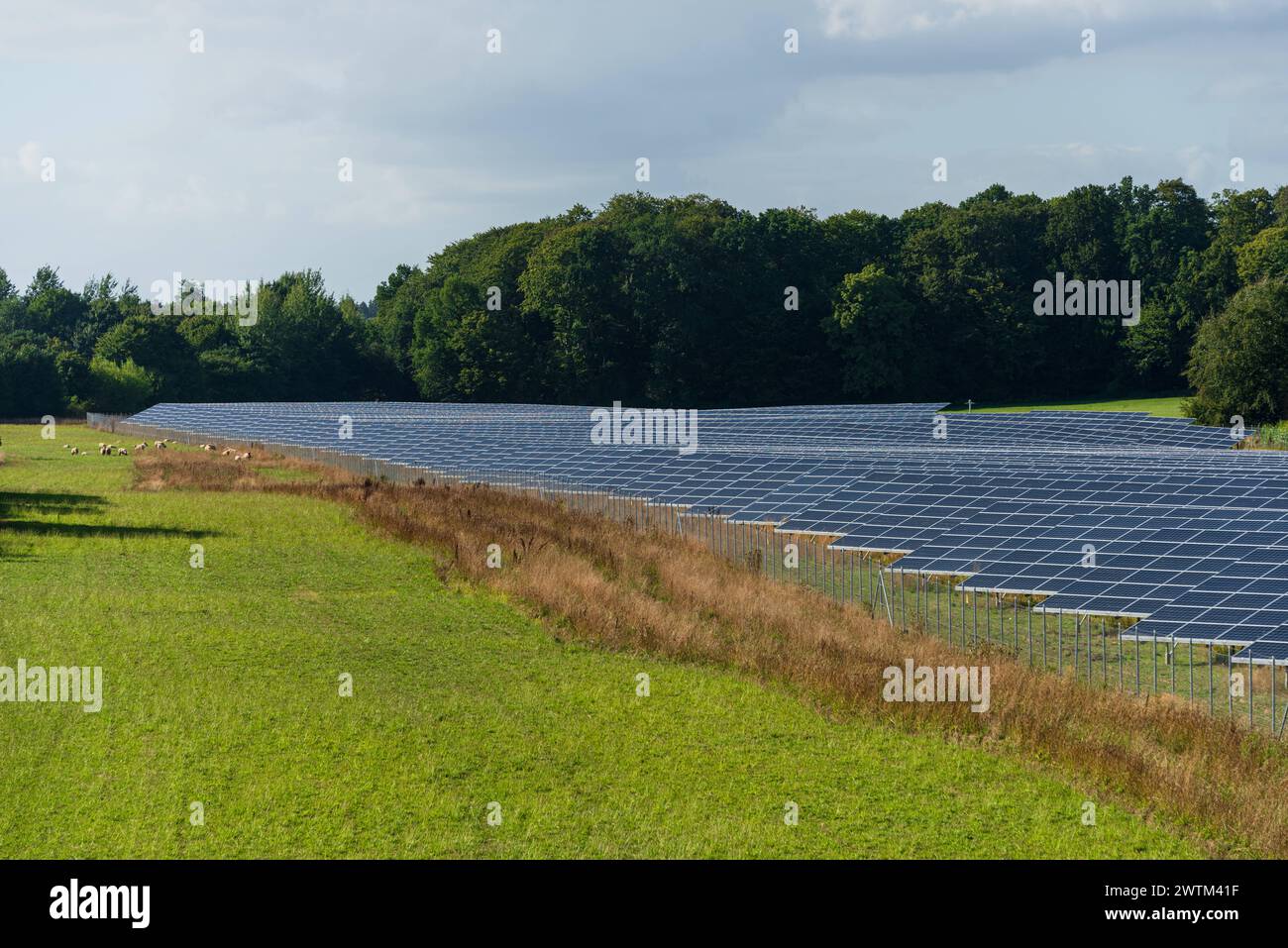 Photovoltaikanlage zur Stromerzeugung auf einer Ackerfläche in ...