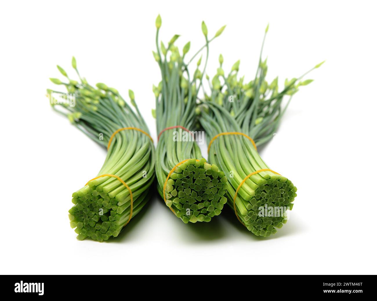 a bunch of flowering chinese garlic chives on the white background ...