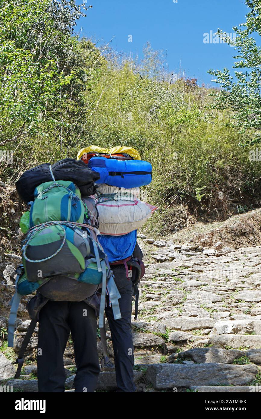 Porters carrying large loads of bags on his back along rocky steps ...