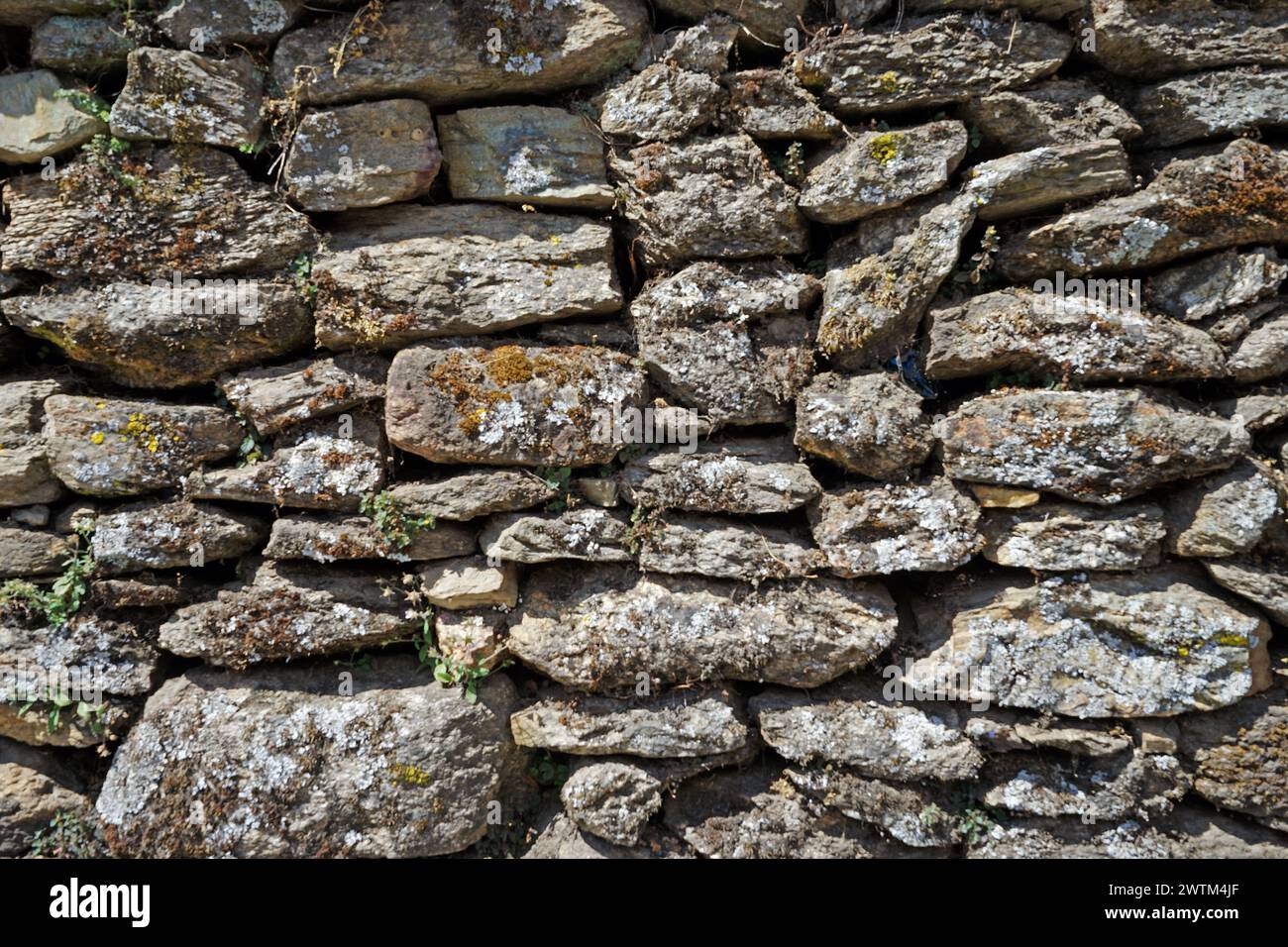 Close up background and surface of wall and floor tile made of big ...