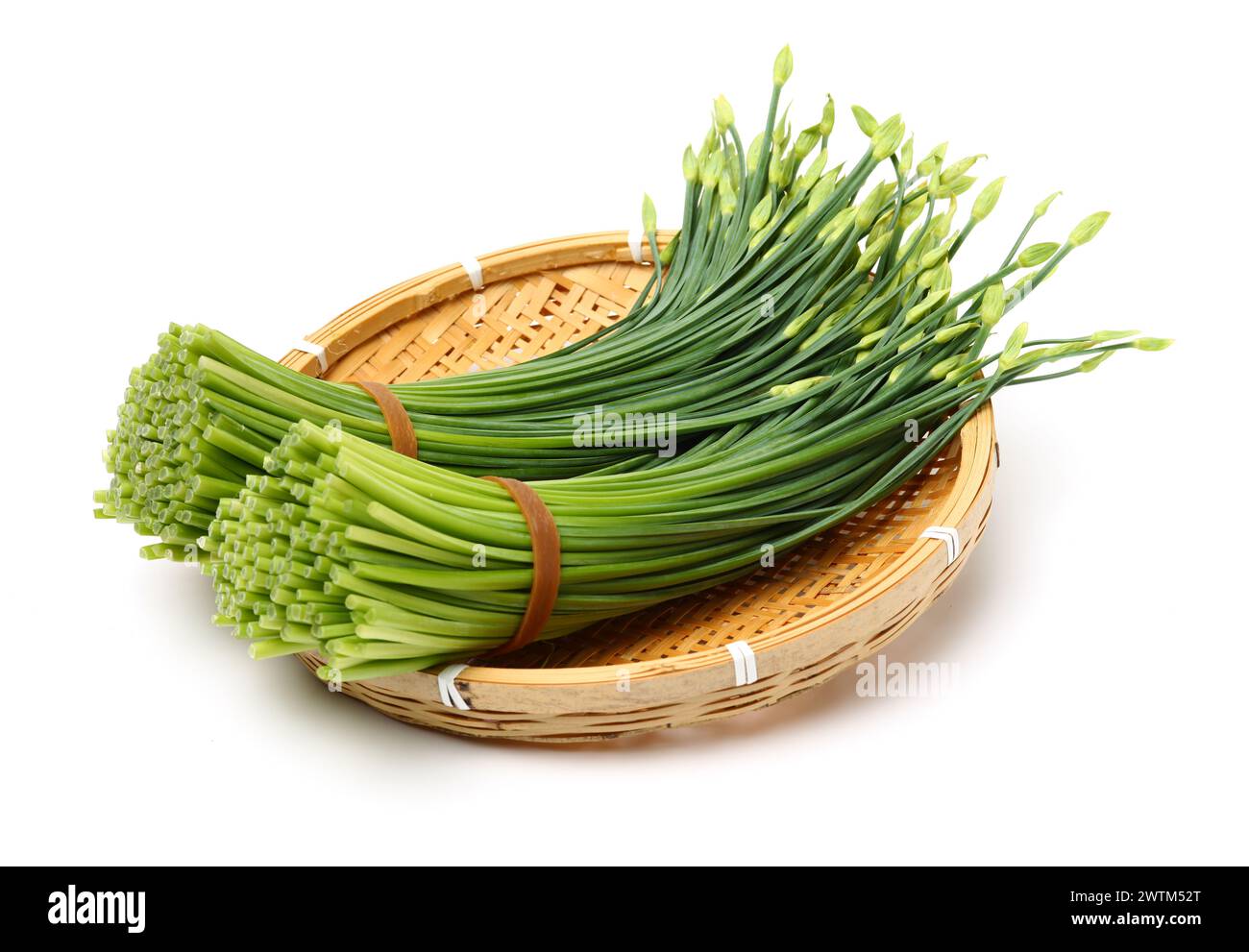a bunch of flowering chinese garlic chives on the white background ...