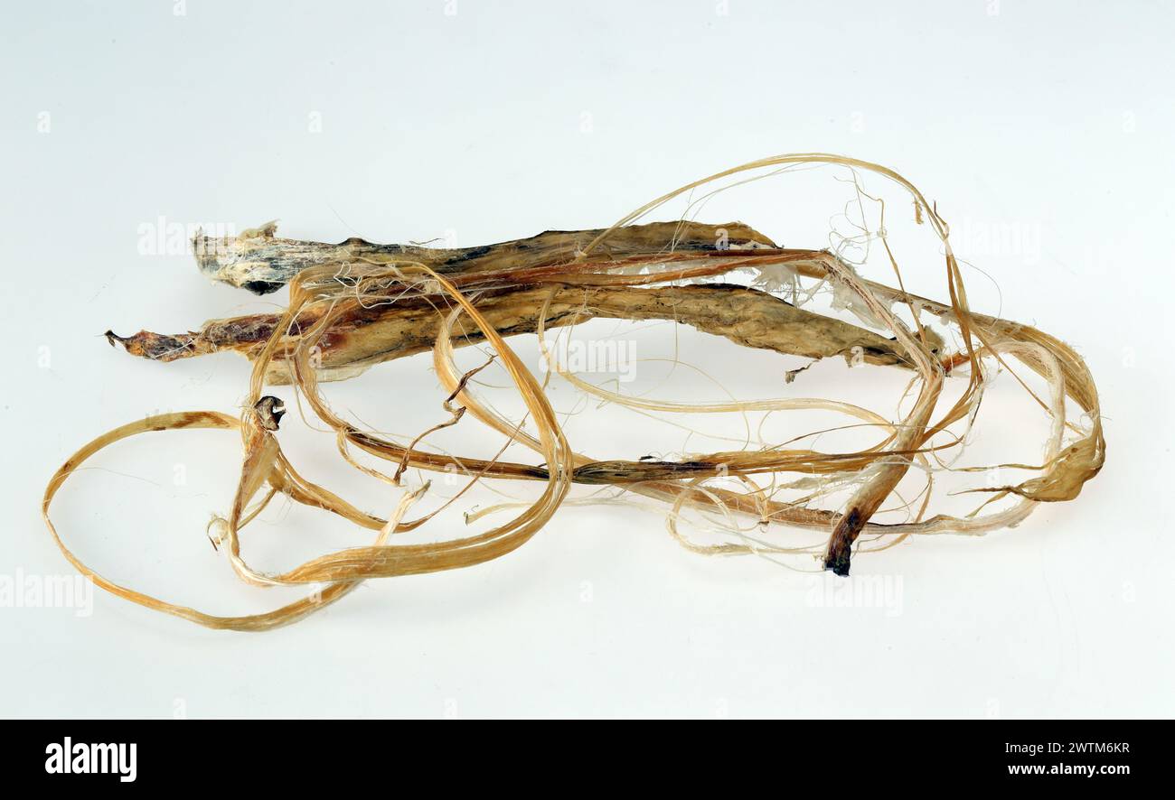 Material sample Stock Photo - Alamy